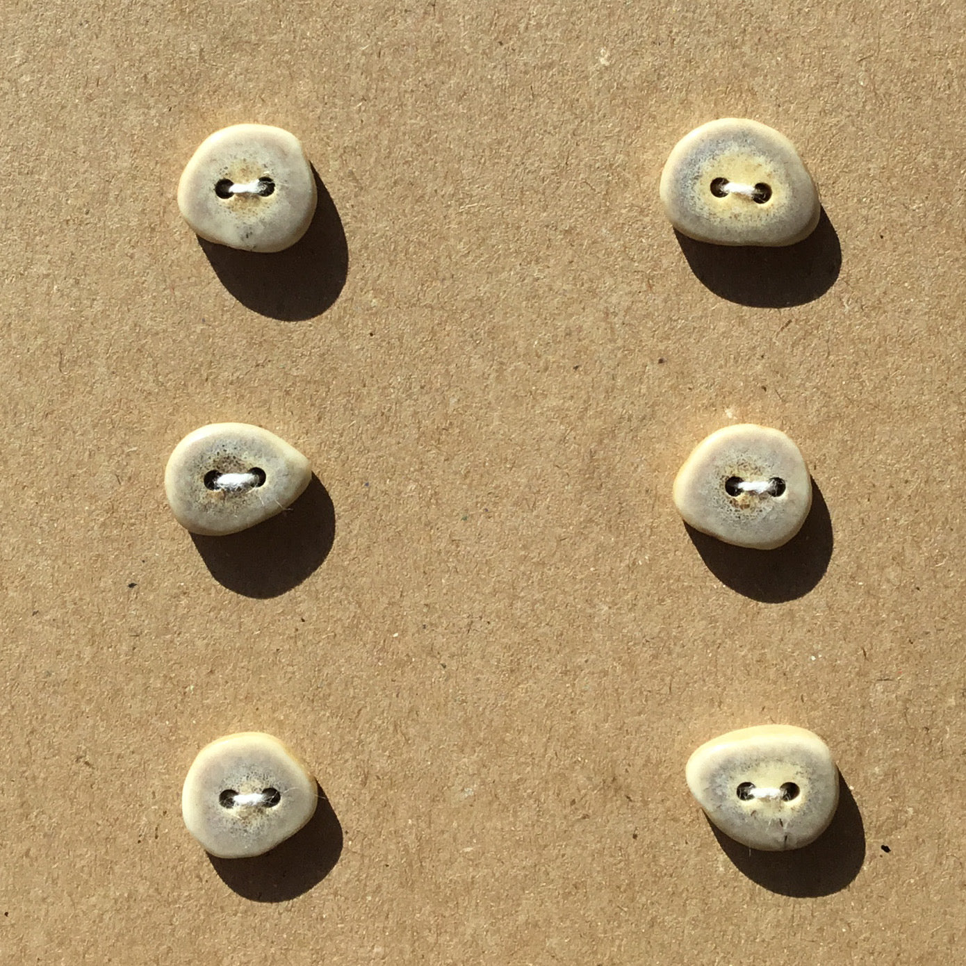 Polished Deer Antler Shed Buttons 1/2" 6-Pack – Haulin' Hoof Farm Store