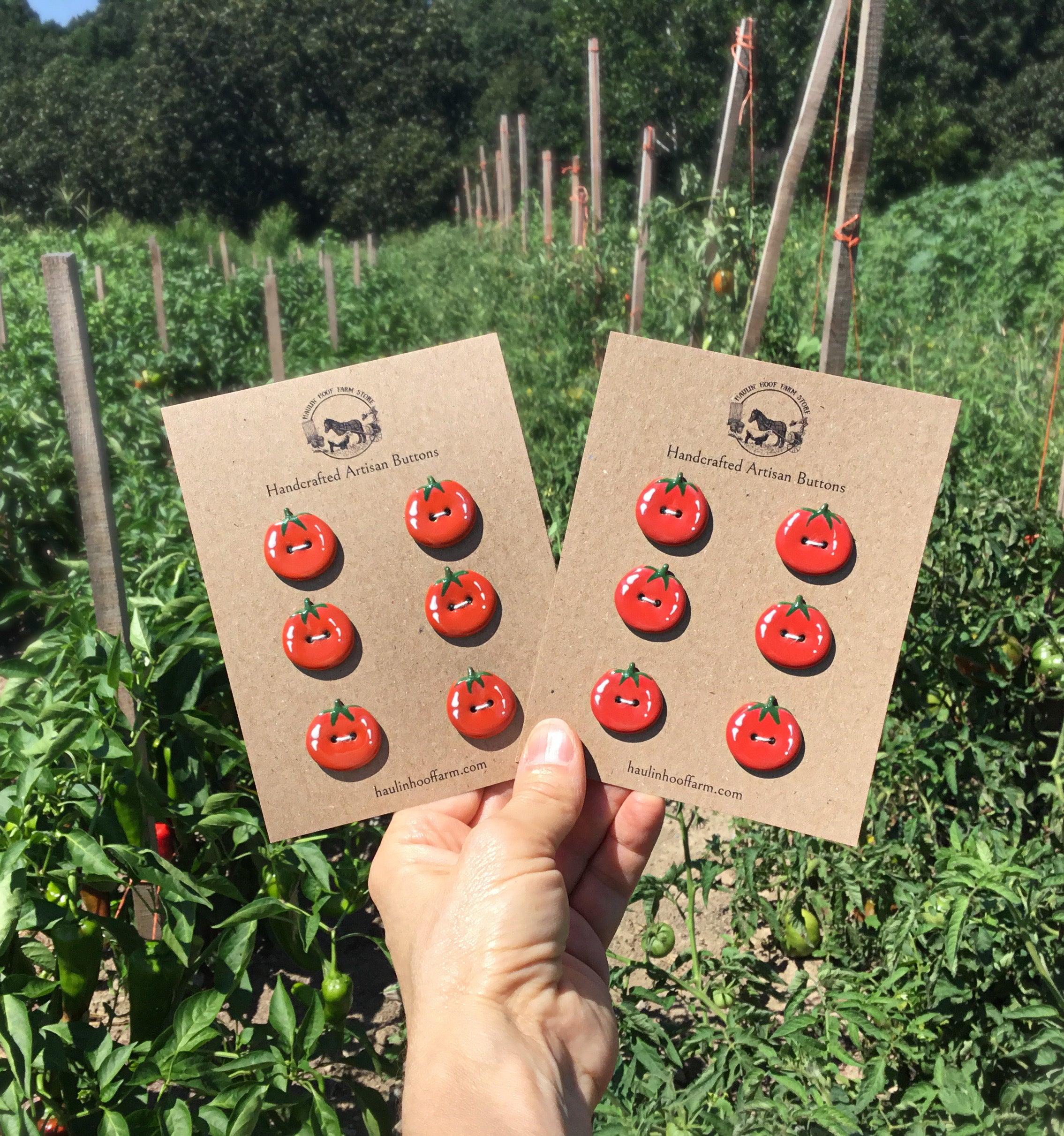 Tomato Buttons 7/8” – Haulin' Hoof Farm Store
